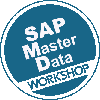 Equip to Upgrade Your SAP Master Data Competently!